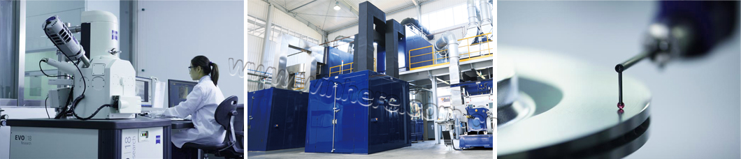 Coated Brake Disc for OE#4615A125/4615A168 Rear Solid from China ...